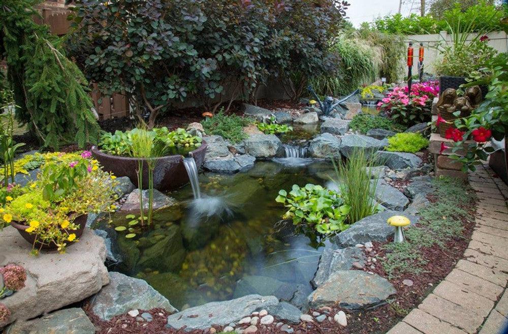 QUIZ: What Type of Pond Owner Are You? — Aquascape Australia